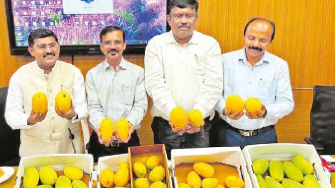 Mango and Jackfruit Fair to begin tomorrow