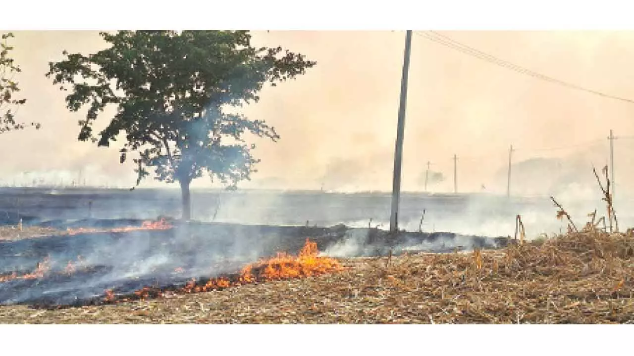 Stubble burning suffocates Mancherial district