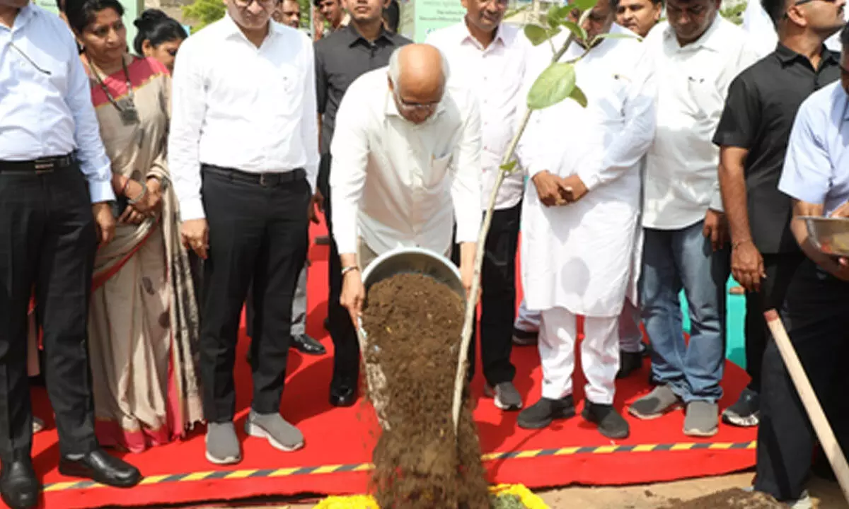 Ahmedabad targets plantation of 50 lakh trees as Gujarat CM launches ...