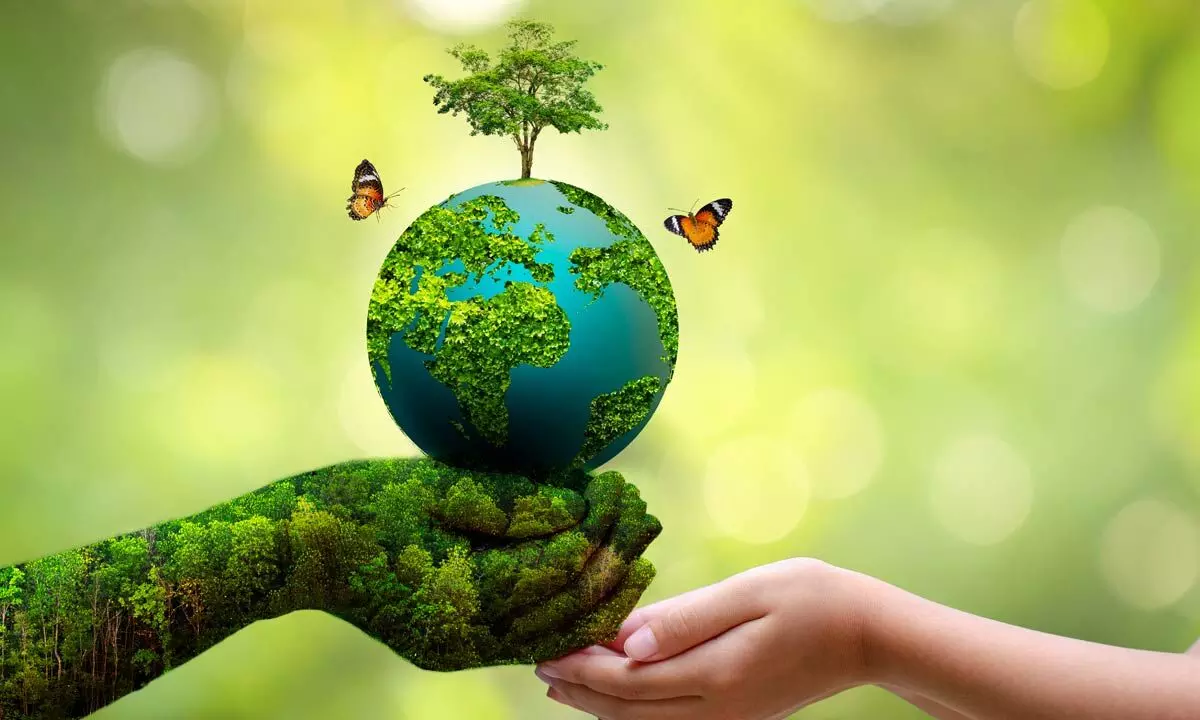 World Environment Day 2026: Celebrating and Protecting Nature