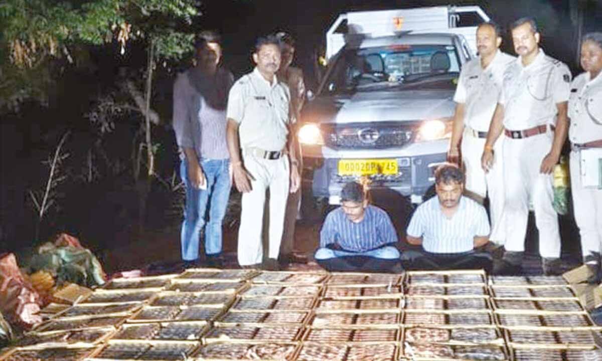 Cough syrup worth Rs 40 lakh seized