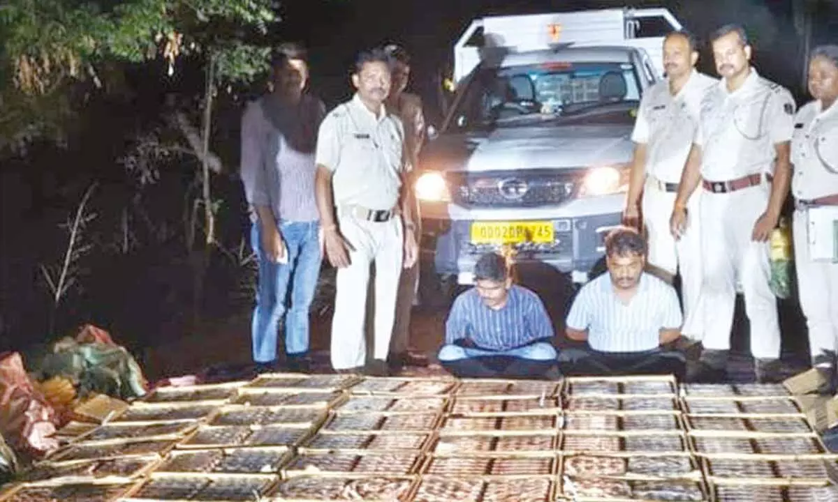 Cough syrup worth Rs 40 lakh seized