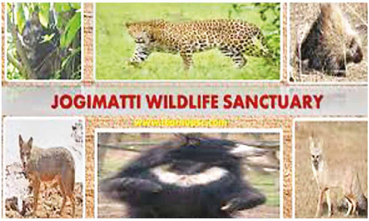 Forest department delays reopening of Jogimatti sanctuary