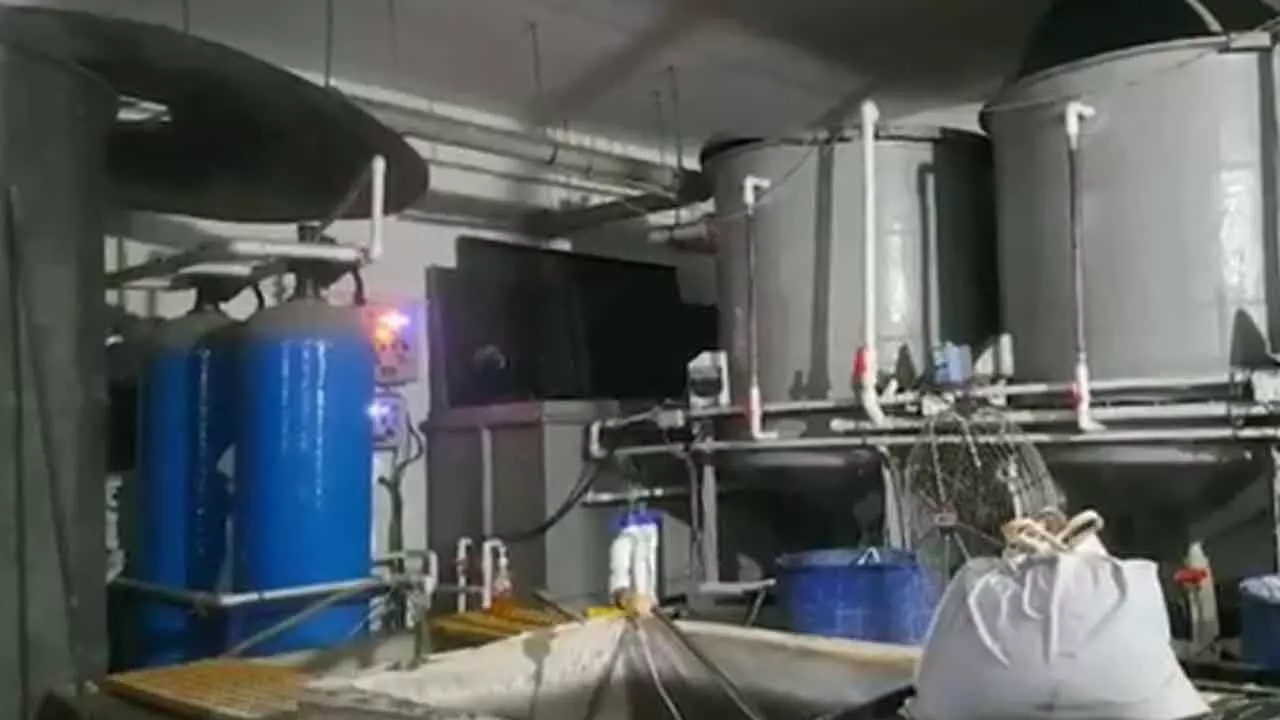 Four workers die after inhaling toxic gas during tank cleaning at ...