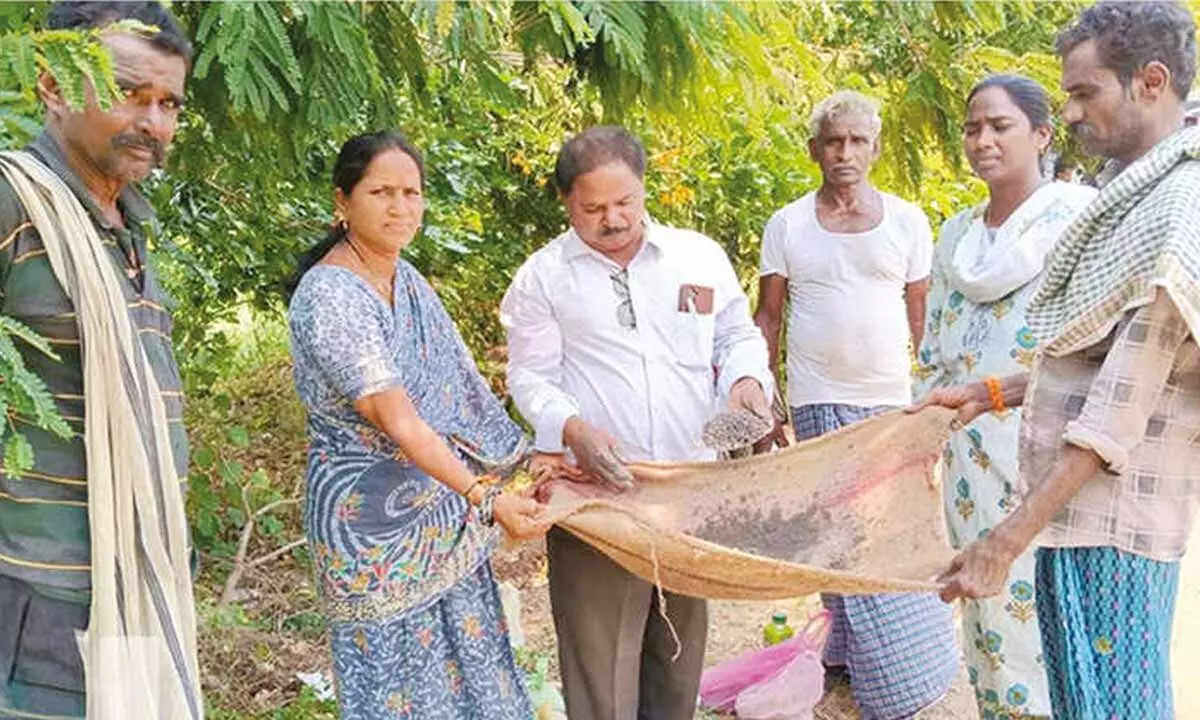 PMDS boosts farmers’ confidence