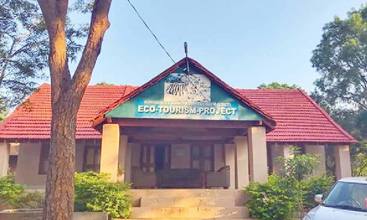 Mamandur forest retreat draws nature lovers to the heart of Seshachalam