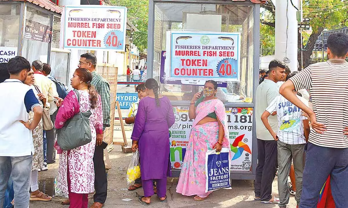City gears up for annual ‘Fish Prasadam’ distribution today