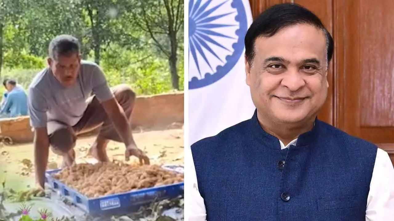 Assam's Muga Sericulture creating new livelihood opportunities: CM ...