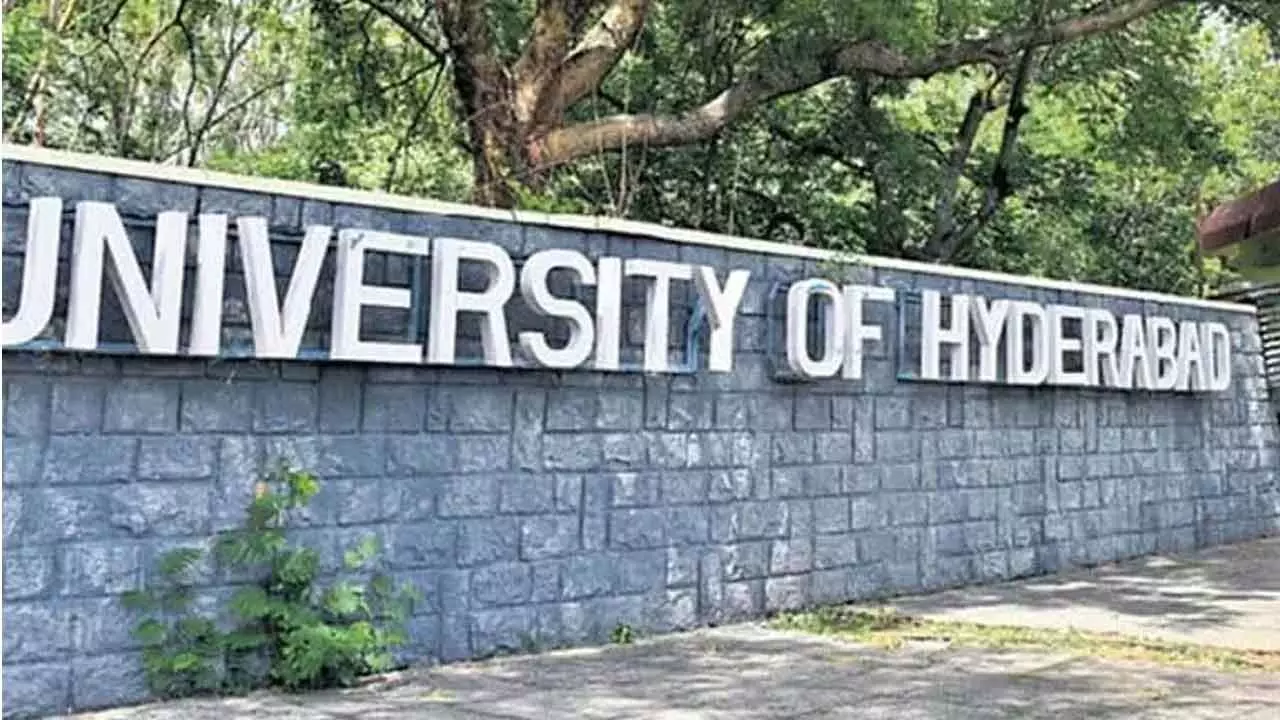 UoH to launch online certificate courses in Malariology and ...