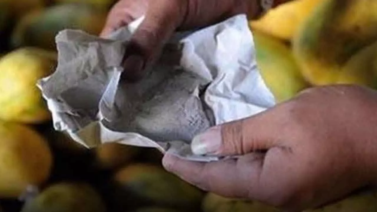 Hidden drug lab unearthed in mango farm