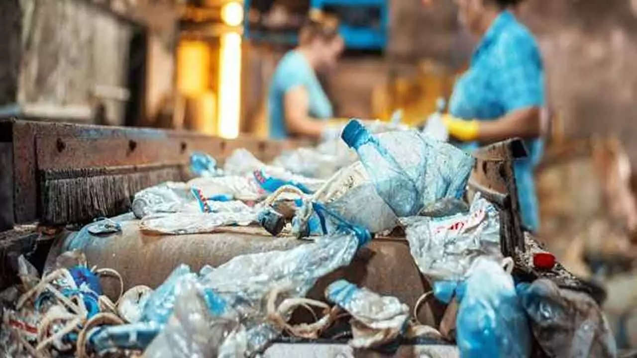 Provide scientific training on safe waste management