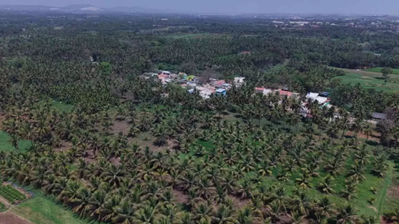 516 acres to be acquired for Bidadi township