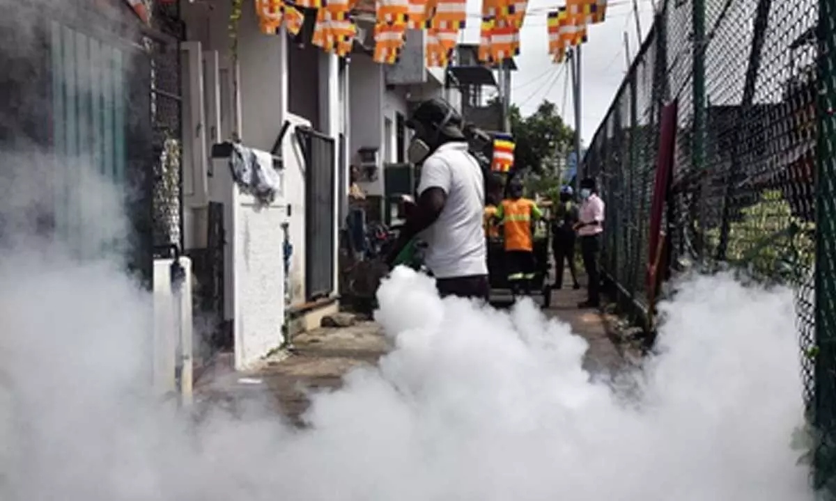 New dengue strain raises infection risk as Sri Lanka launches ...