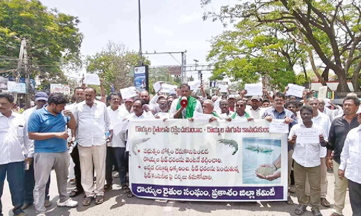 Cut in prawn feed prices demanded
