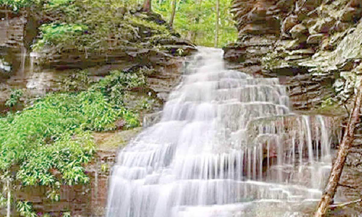 The role of waterfalls in sustaining nature