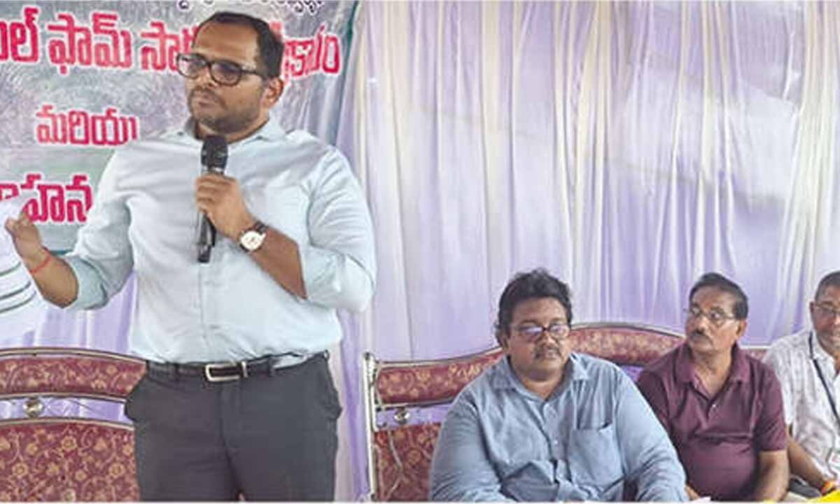 Oil palm expansion programme launched