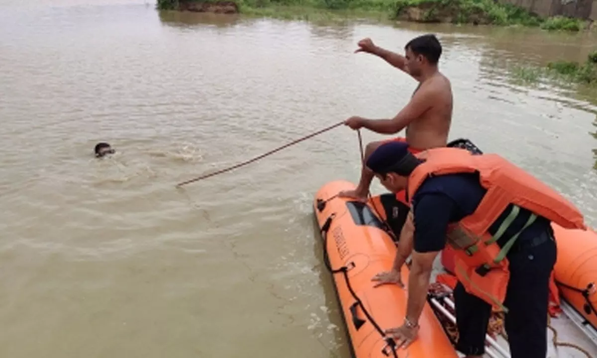 Bihar: Three teenagers drown in Buxar River