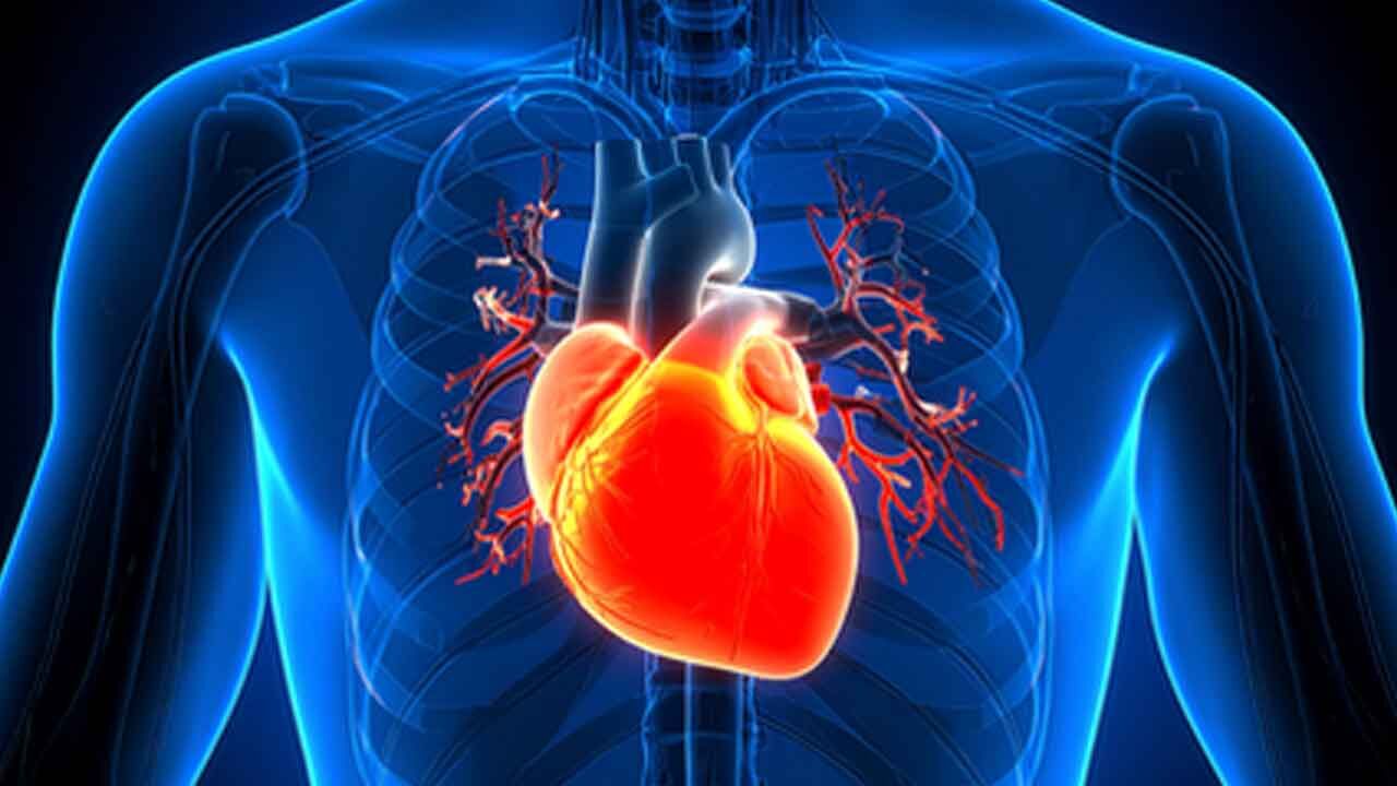 Probe uncovers cardiac procedure 'scam' at govt medical college in J&K ...