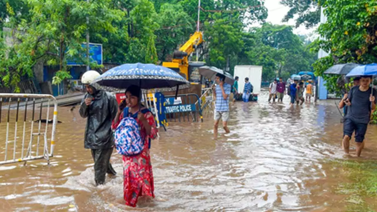 Light rain likely in Kolkata on Yoga Day, heavy showers alert for north ...