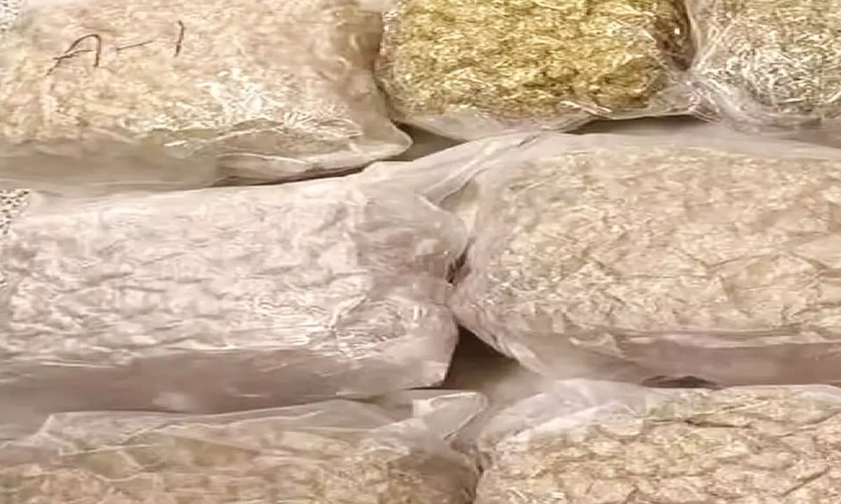 22 kg ganja, Rs 2.5 lakh seized; three arrested