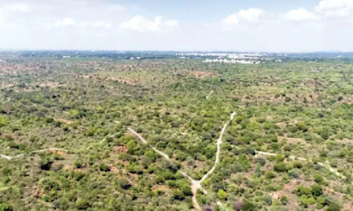 Aravalli Biodiversity helps Delhi retain 3mn litres of rainwater