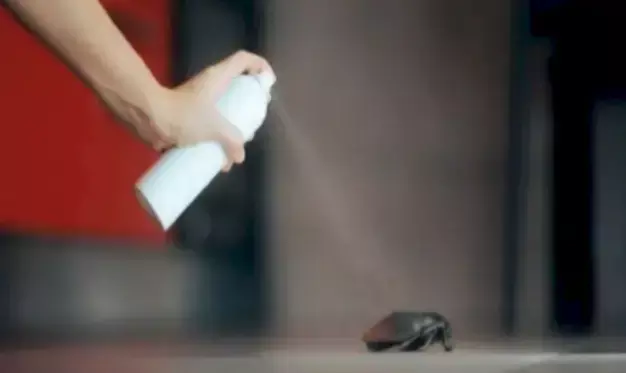 How to Get Rid of Small Flying Insects in the House Safely and Effectively