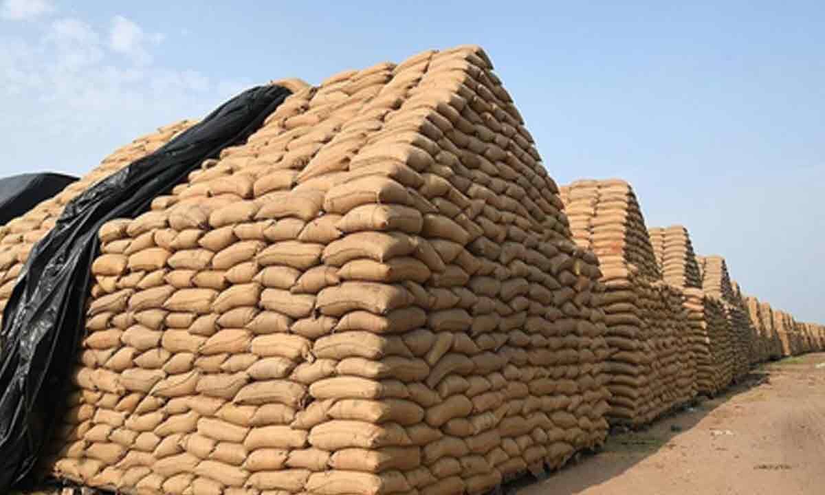 Fine paddy prices surge as supply tightens in Tamil Nadu