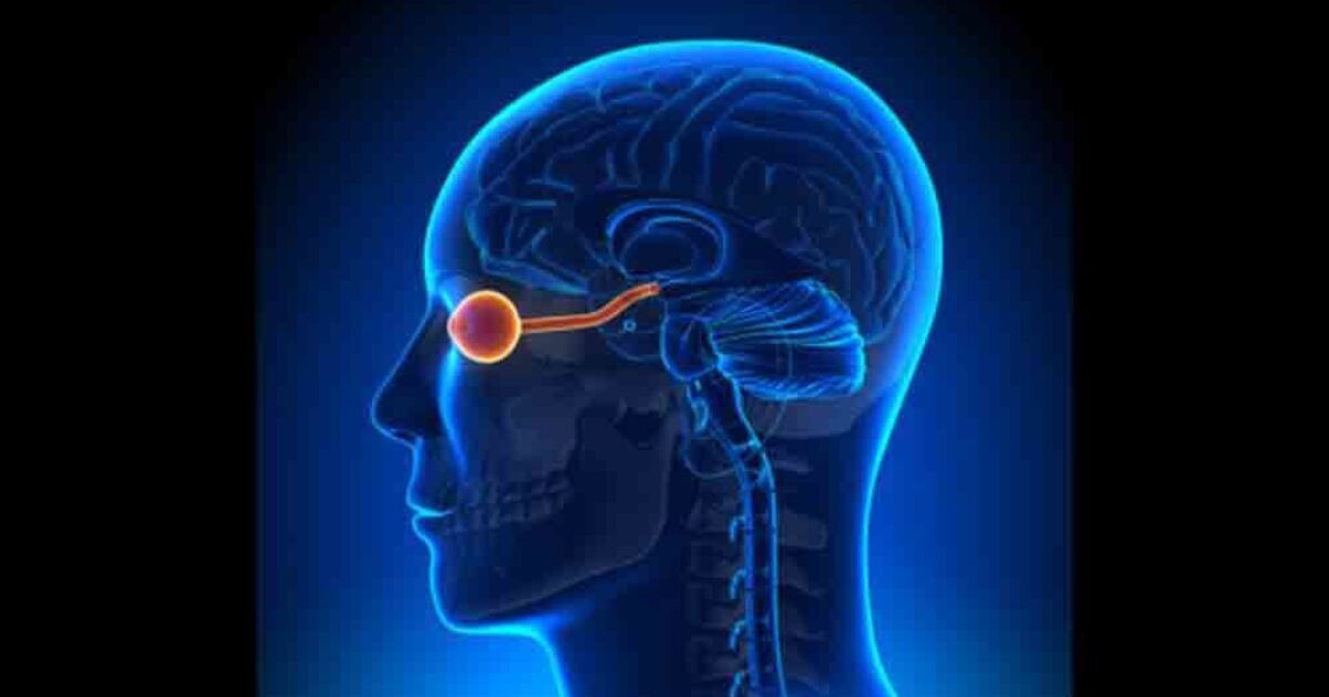Optic nerve stimulation offers hope for visually impaired